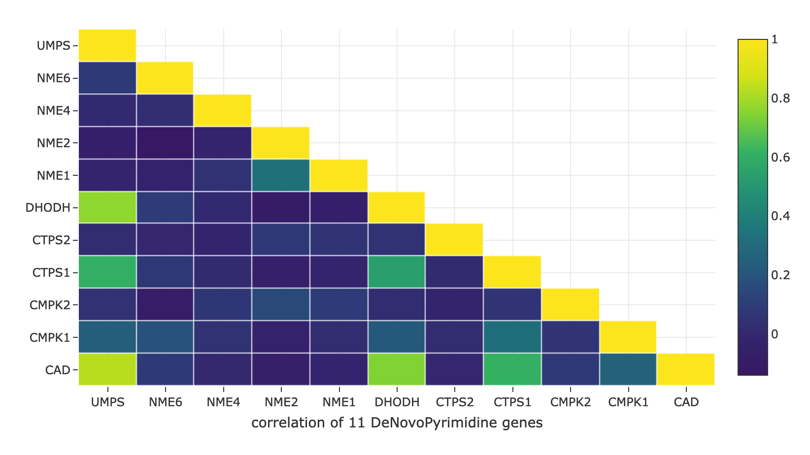 DepMap Data Explorer 2.0
